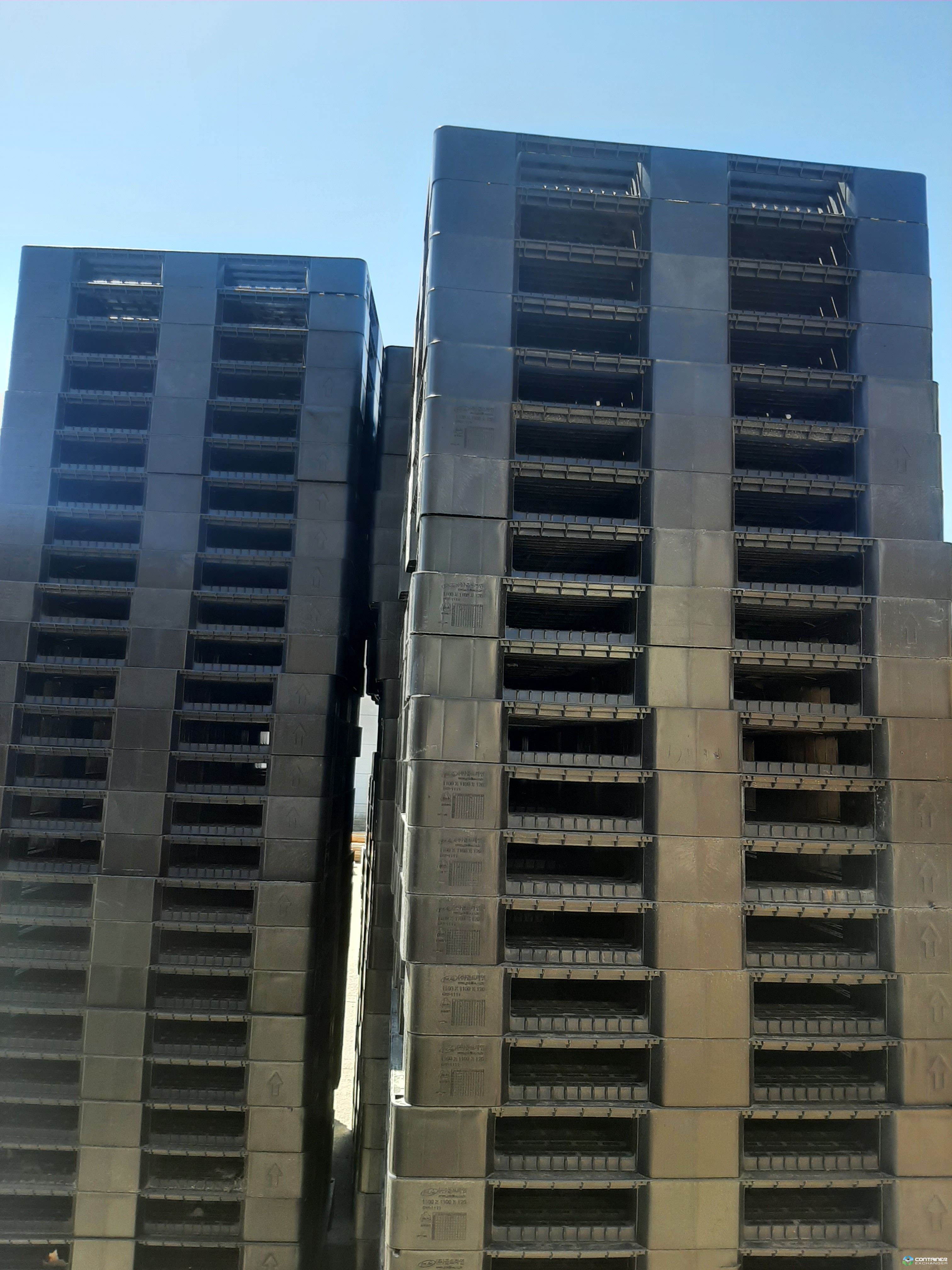 Used 43x43x5 Thick Bottom Plastic Pallets Quebec | Container Exchanger